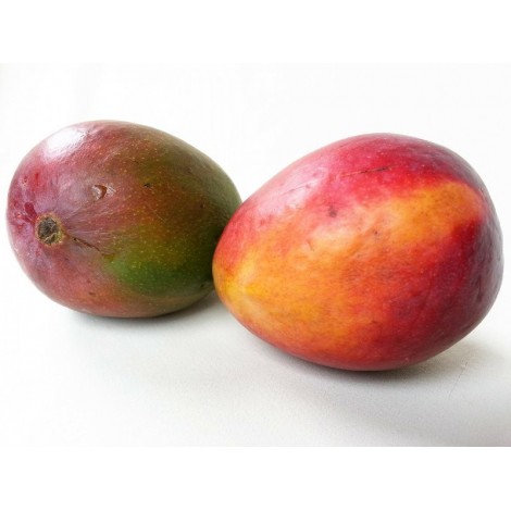 Osteen Mango aus Spanien | Tienda de Fruta