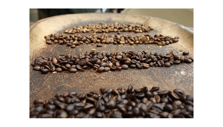 Descubre la finca de café más al norte del mundo en La Herradura, un ...